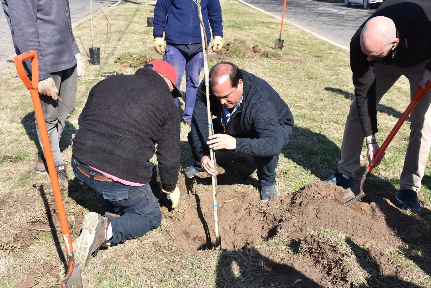 MES DEL ÁRBOL: SE PLANTARON ÁRBOLES NATIVOS EN EL ACCESO PERÓN Y ESTA ...