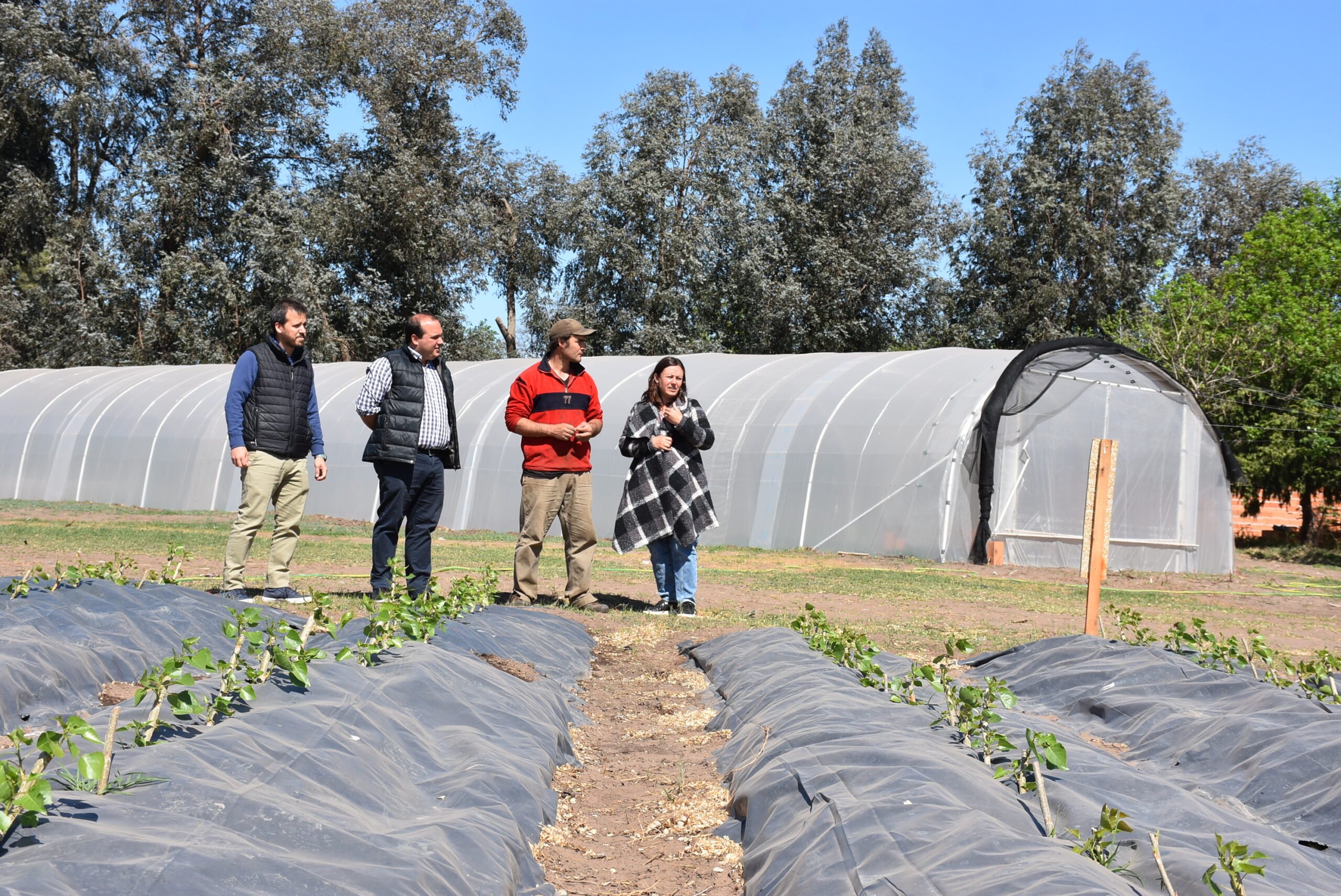 RECORRIDA POR EL VIVERO MUNICIPAL: HAY UN NUEVO ESTAQUERO Y SE ...