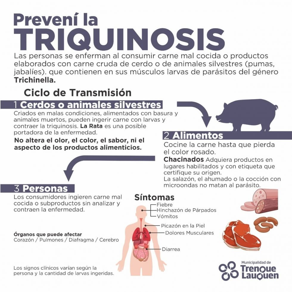 SE RECIBEN MUESTRAS PARA HACER ANÁLISIS DE TRIQUINOSIS, DE LUNES A ...